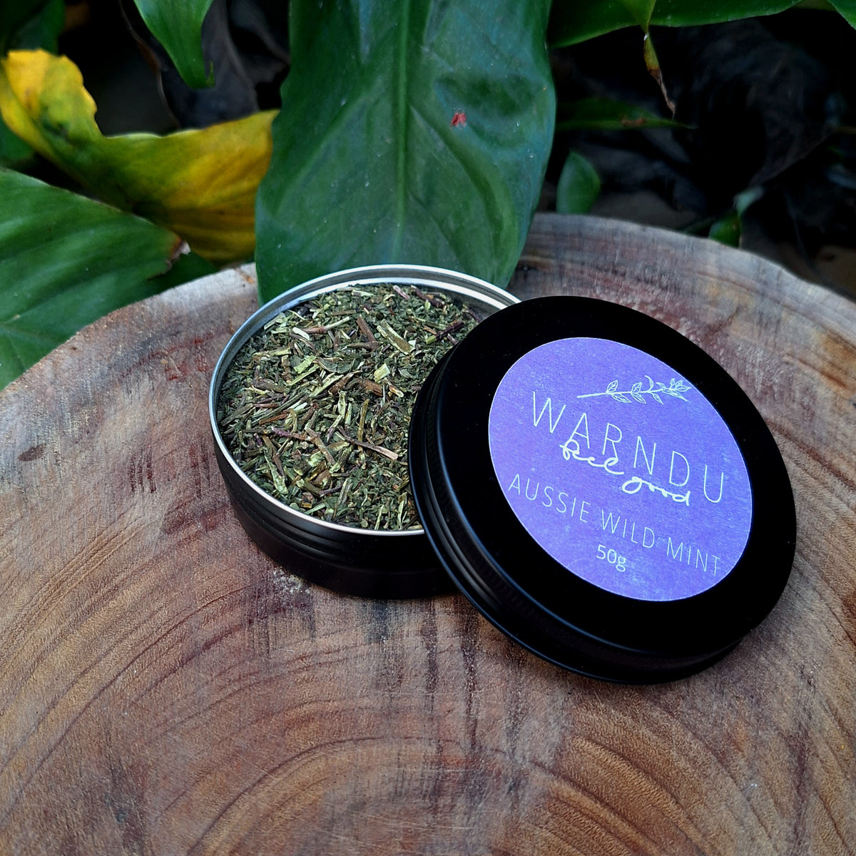 Warndu: Spices - Aussie Wild Mint – MK Eco by Starwin